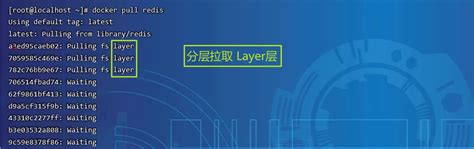 Docker 实战篇 项目部署 】 Csdn博客