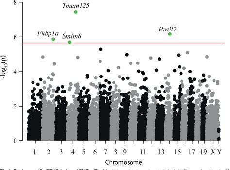 Figure 4 From Prenatal Exposure To Dehp Affects Spermatogenesis And Sperm Dna Methylation In A
