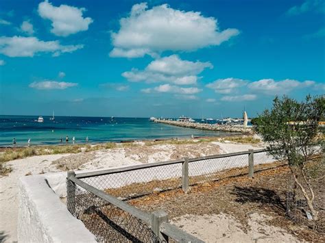 Rottnest Island Day Trip Everything You Need To Know