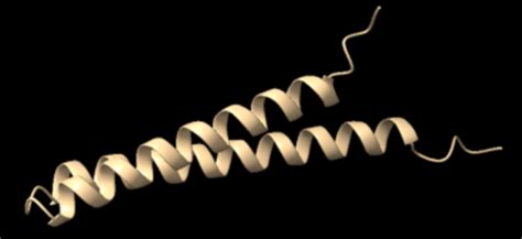 unusual predicted structures from pretrained openfold on pascal gpu
