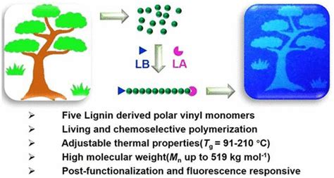 Macromolecules Vol 56 No 19 Acs Publications