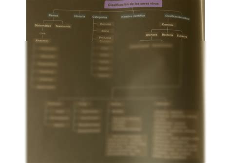 Solution Clasificacion De Los Seres Vivos Mapa Conceptual Studypool
