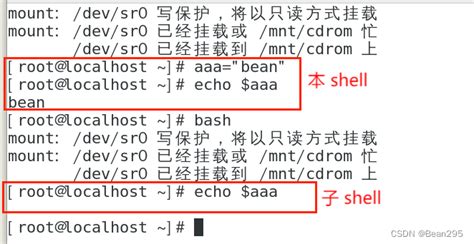 shell 变量与条件测试 shell 检查是否设置了环境变量 csdn博客