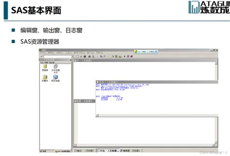 sas学习1（总体介绍以及一些程序例子） csdn博客