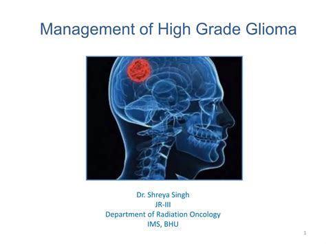 Management Of High Grade Glioma Pptx