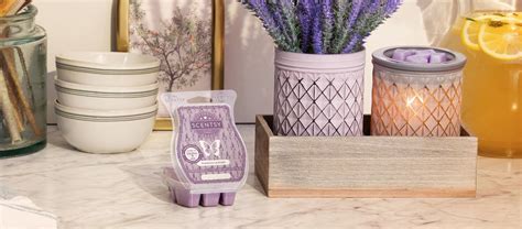 Erica Happyshopping Scentsyscentssmellsogood Facebook