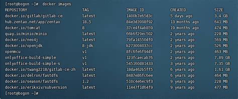 Docker安装svn 岁月淡忘了谁 博客园