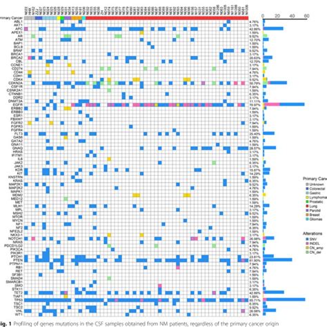 The Association Of Variant Allele Frequency With Detectable Tumor Cells Download Scientific