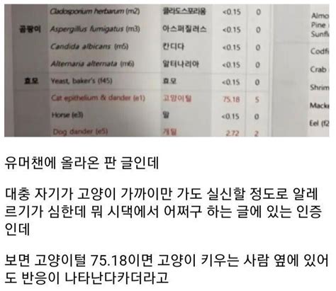 의문의 알레르기 검사 후기 인스티즈 Instiz 이슈 카테고리