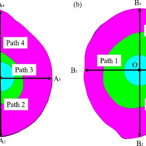 Four Paths Of The Bone Scaffold Interface A Proximal Femur B Distal Femur Download