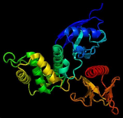 Radixin Alchetron The Free Social Encyclopedia