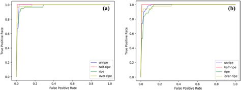 Roc Curves Of The Cnn And Ann Models For Estimating The Ripening Stage Download Scientific