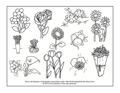 Crmla Dibujos De Plantas Sin Flores Para Colorear Dibujos De Colorear