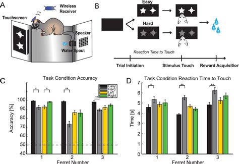 Experimental Task Design And Behavioral Performance A Operant Download Scientific Diagram