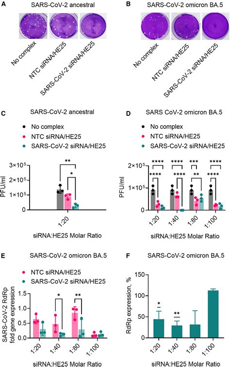 A Novel Multitargeted Self Assembling Peptide Sirna Complex For Simultaneous Inhibition Of Sars