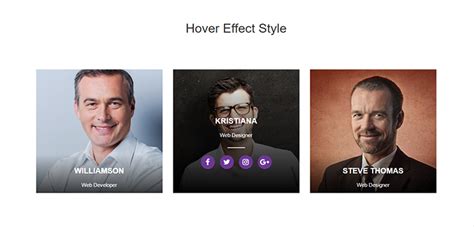 Bootstrap Hover Effect Bootstrap Themes