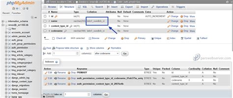 رفع خطای جنگو Incorrect String Value پارس وب سرور ارائه انواع هاست