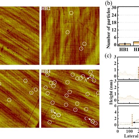 A Surface Morphologies Of A Non Heat Treated Substrate And Substrates Download Scientific