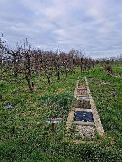 Genomineerd Voedselbos Ben En Mia Van Jaarsveld Platform Duurzaam Montfoort