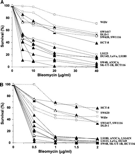 Sensitivity Of Tumor Cell Lines To Bleomycin Oe Msi Positive Cell