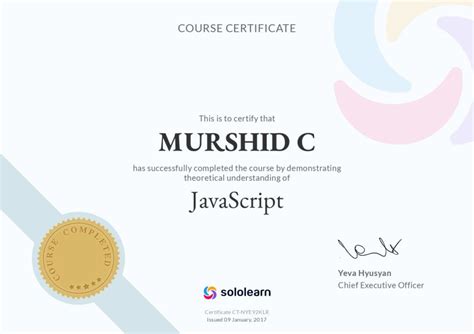 Programming Certification Javascript C Html Sololearn Techskills