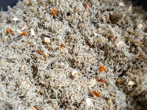 [미옥찬방] 오늘의 반찬 메뉴입니다 보름 메뉴 안내 경기도 수원시 권선구 세류동 반찬가게 당근 비즈 소식