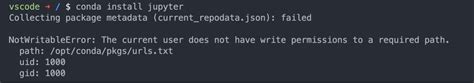 clean miniconda dev container cannot install packages error