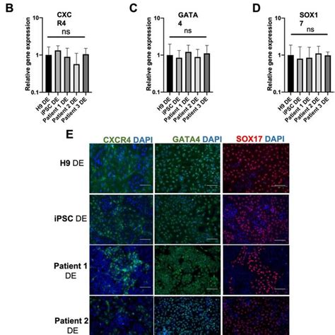 Differentiation Of Healthy And Eatef Patient Derived Pluripotent Stem Download Scientific