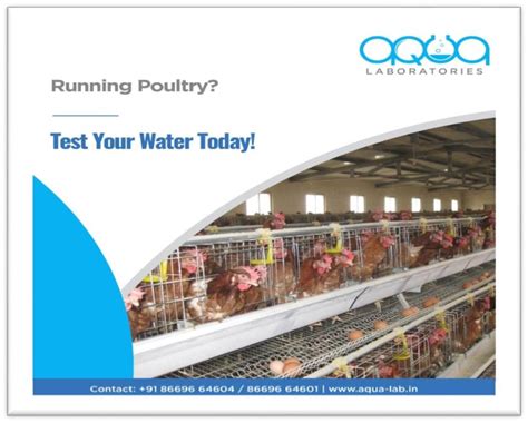 Water Testing Analysis Lab Services For Poultry Hygiene Applications