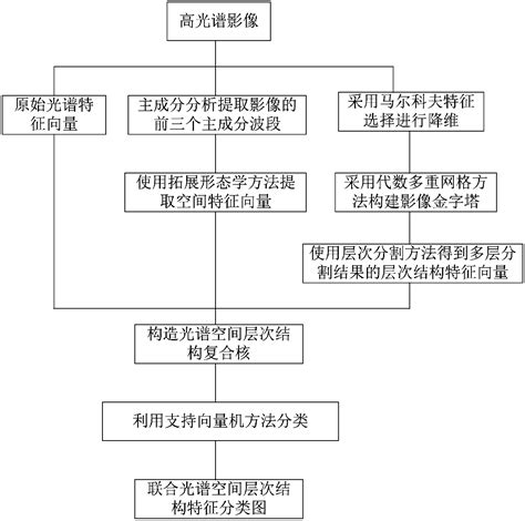 Hyperspectral Remote Sensing Image Classification Technology Combining