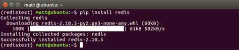 How To Use Redis With Python 3 And Redis Py On Ubuntu 1604 Full