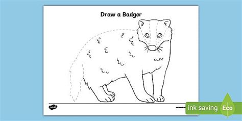 Eyfs Draw A Badger Pencil Control Activity Teacher Made