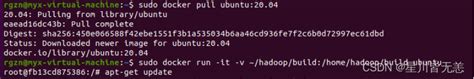大数据云计算——docker环境下部署hadoop集群及运行集群案列 使用docker部署hadoop csdn博客