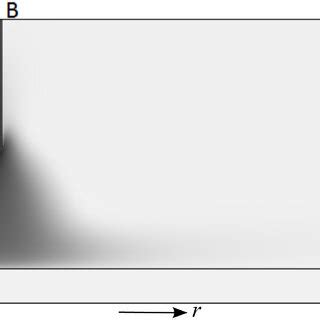 Distribution Of Species Density And The Relative E Forced Diffusive Download Scientific Diagram