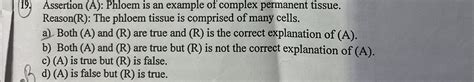 Question Assertion A Phloem Is An Example Of Complex Permanent Tissu