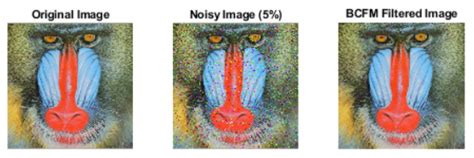 Image Noise Reduction By Bootstrap Resampling Visual Image Processing Laboratory