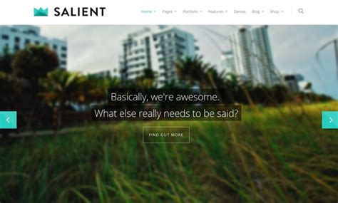 salient wordpress theme review 2023