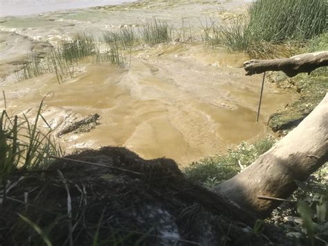 Lincoln Michigan mud : r/quicksand