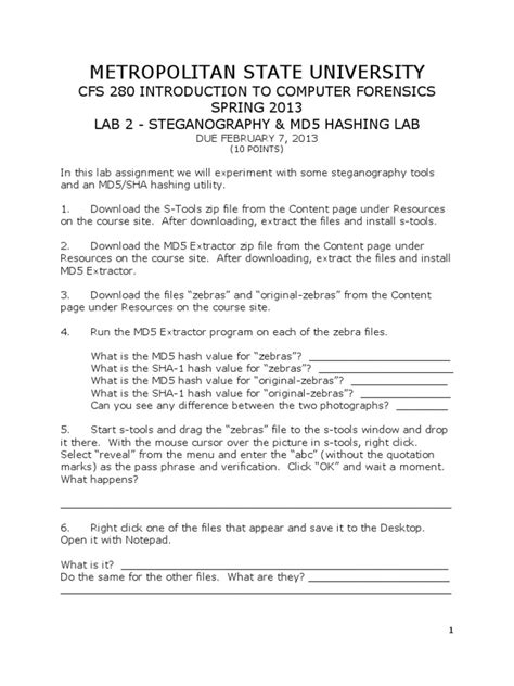 Lab 2 Steganography And Md5 Hashing Pdf Software System Software
