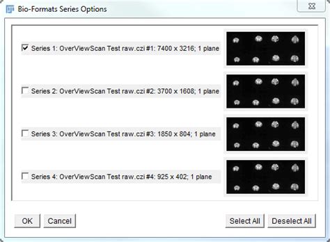 Bioformats 553 Does Not Read Czi Metainfo Series Number Pyramid Levels Correctly Anymore