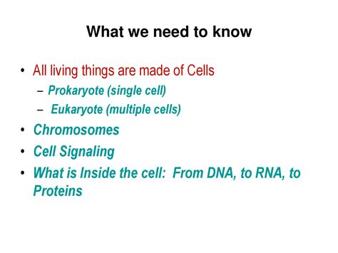 bioinformatics of prokaryotes and eukaryotes lecture notes cap 5510