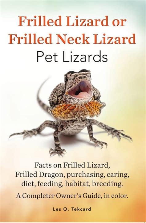 Frilled Lizard Petsmart