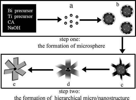 Scheme 1 A Schematic Illustration Of A Two Step Sequential Growth Model