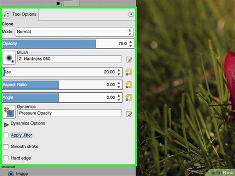 Comment Utiliser Loutil Clonage Sur Gimp 6 étapes