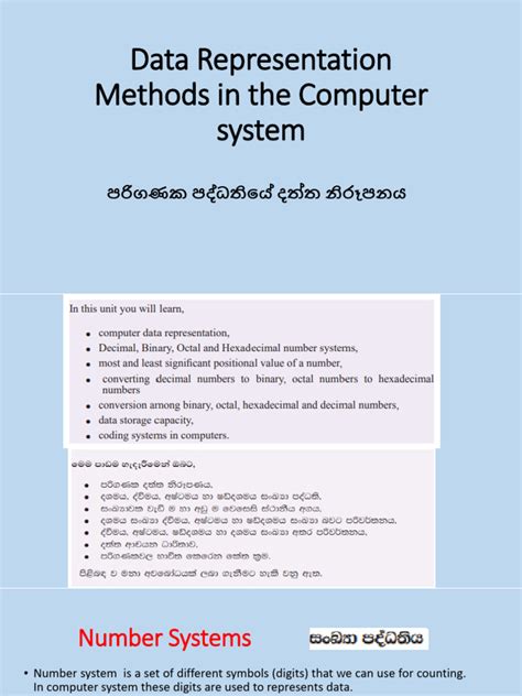 Soniya Kaviratna Data Representation Methods In The Computer System