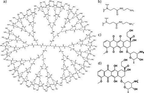 A Structure Of A Fourth Generation Pamam Dendrimer G4 0 Pamam B Download Scientific