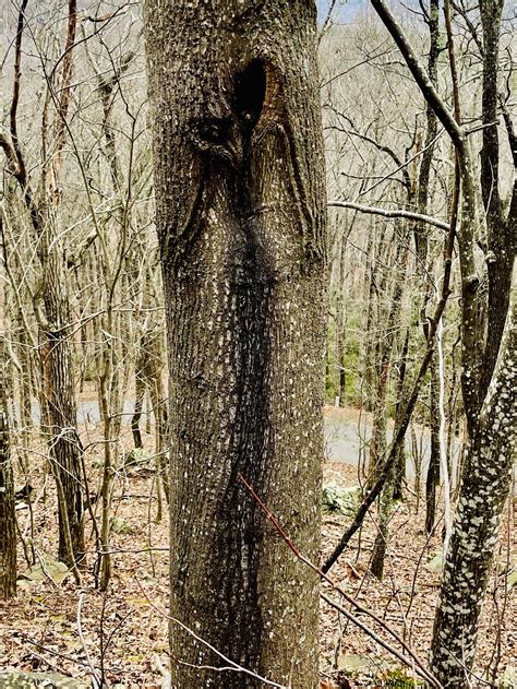 Best R Witch Images On Pholder How It Started How It Is