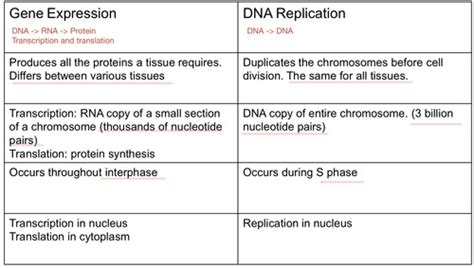 Biochemistry Flashcards Quizlet