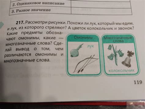 217. Рассмотри рисунки. Похожи ли лук, который мы едим, и лук, из ...