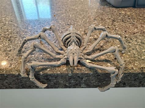 3d Printed Tarantula Flexi Print In Place Skeleton Spider Helloween